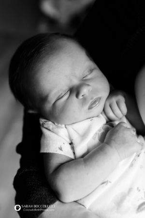 Newborn Portfolio - Colorado Birth, Maternity, & Newborn Photography